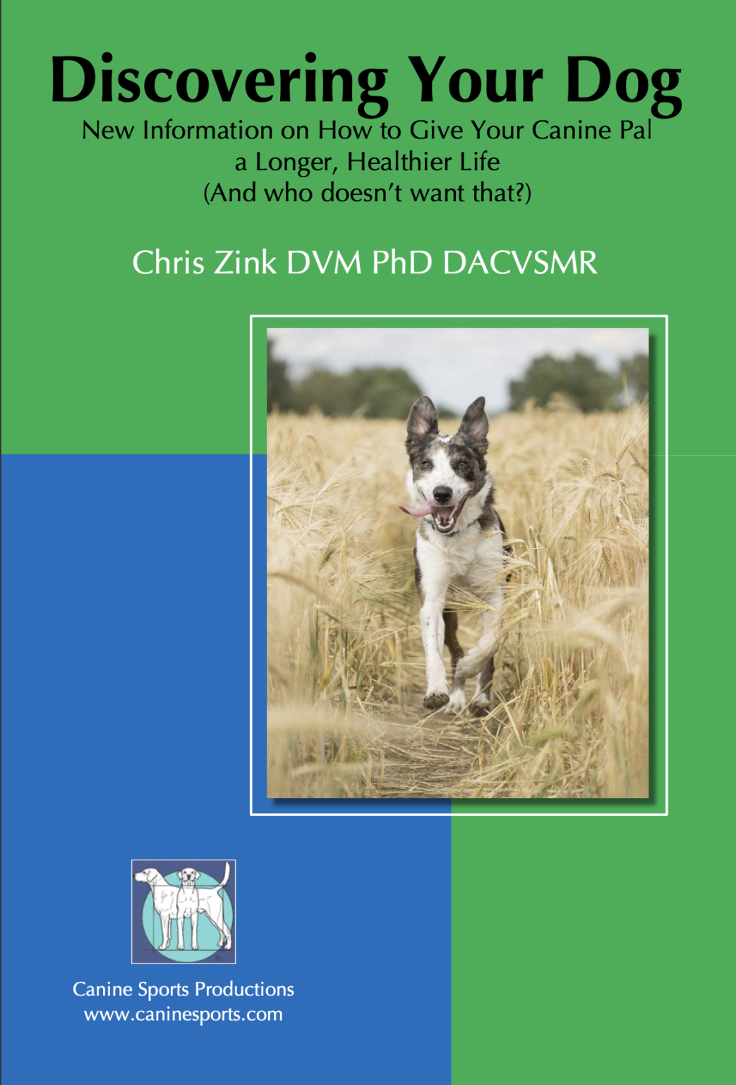 Home - For Active Dogs!